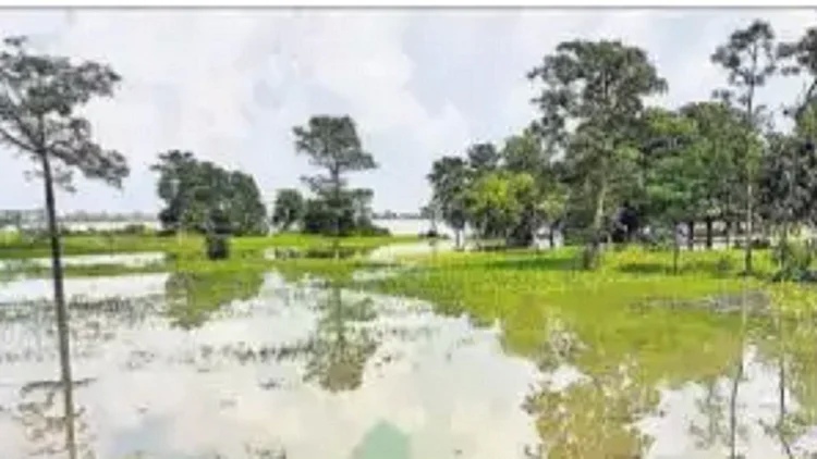 Flood in Bihar: The ever-increasing water level of Gandak in Saran ...