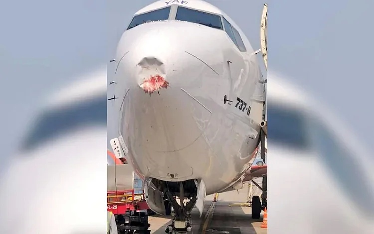 Akasa Air Flight: Akasa Air flight hit by bird, damage shown in plane ...